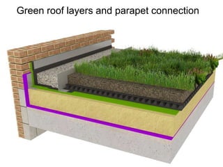 Planning Green roofs and Green Walls Structural design | PPTX