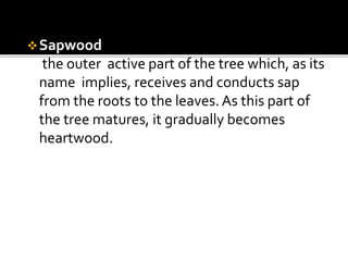 Carpentry Basic -Structural elements of a tree.pptx