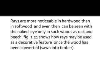 Carpentry Basic -Structural elements of a tree.pptx