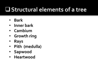 Carpentry Basic -Structural elements of a tree.pptx