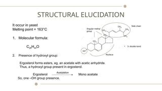 Structural Elucidation of Ergosterol.pptx