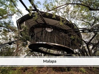 Structural_Engineers_and_Architects_Presentation (2) (1).pptx