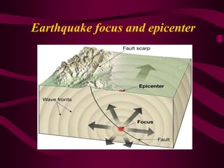Importance of forest | PPT