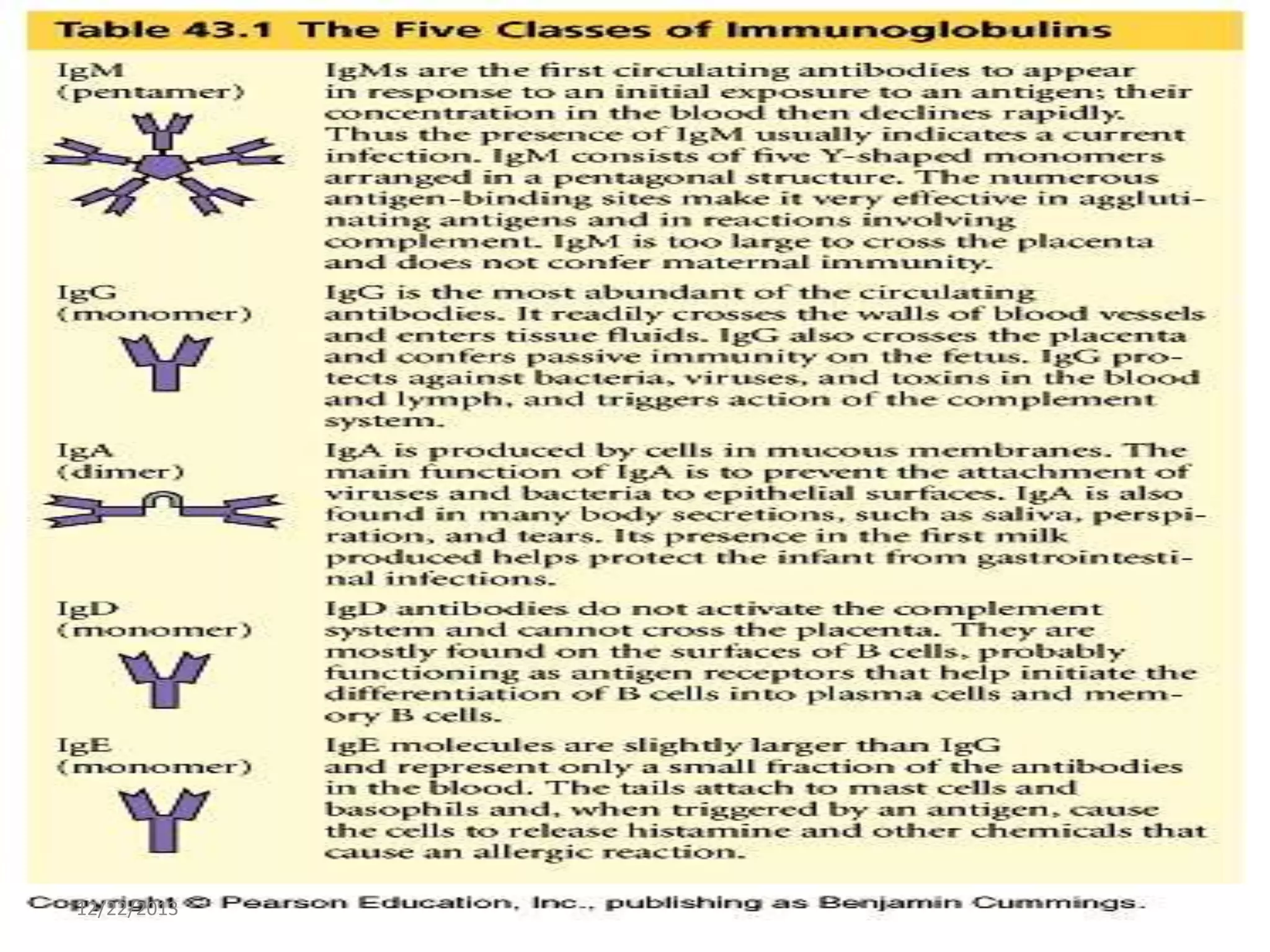 Structural evolution of globulin protein | PPTX