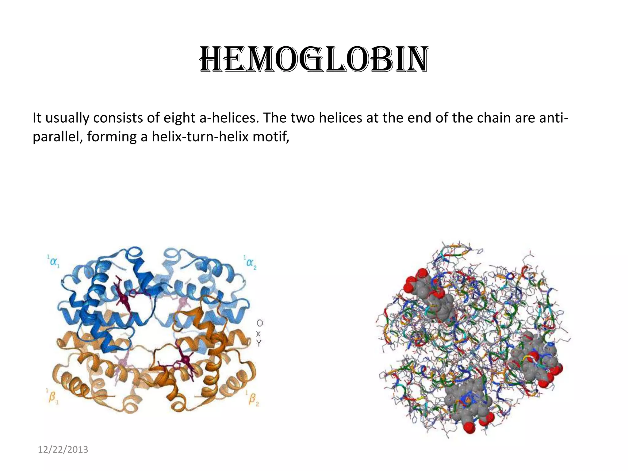 Structural evolution of globulin protein | PPTX