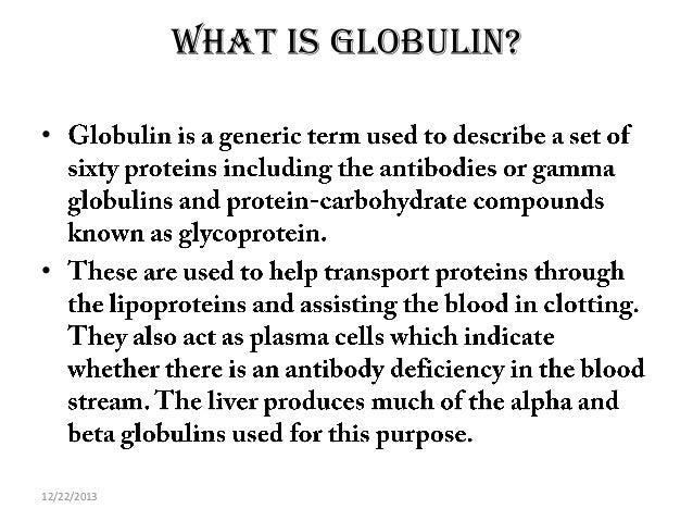 Structural evolution of globulin protein