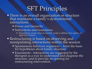 Structural family therapy | PPT | Physical Therapy | Wellness