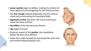 Structural fat grafting in plastic surgery. | PPTX