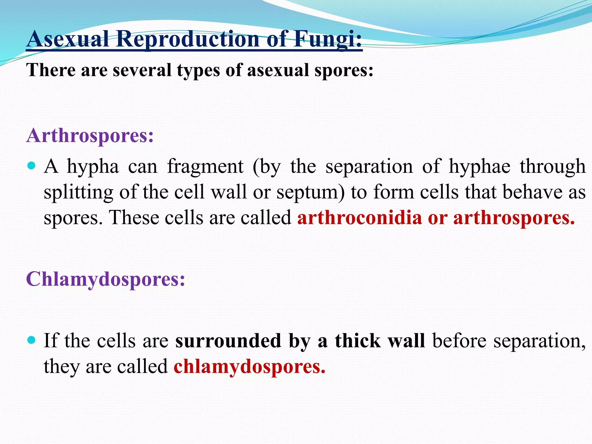 Structural features and classification of fungi | PPTX