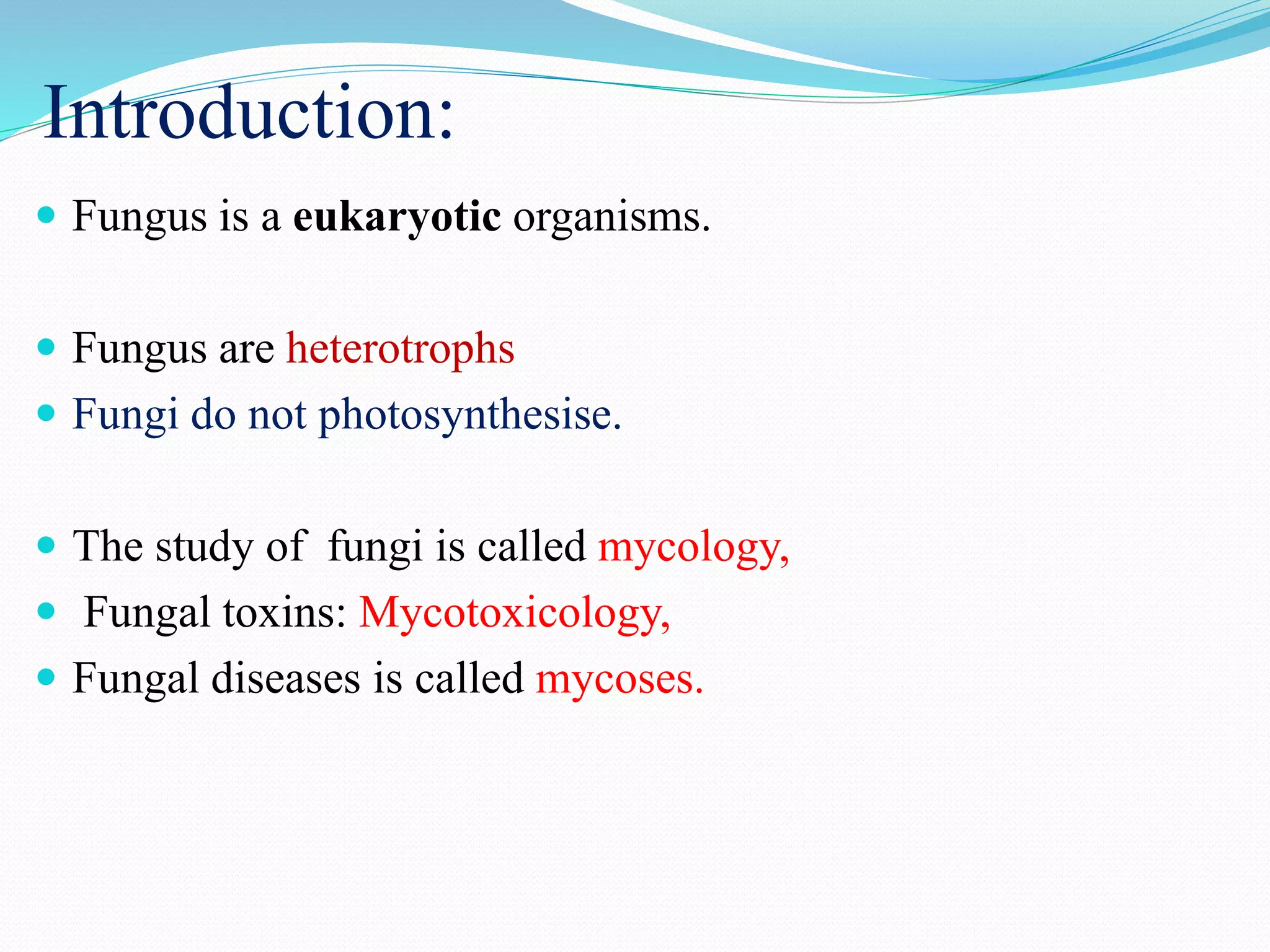 Structural features and classification of fungi | PPTX