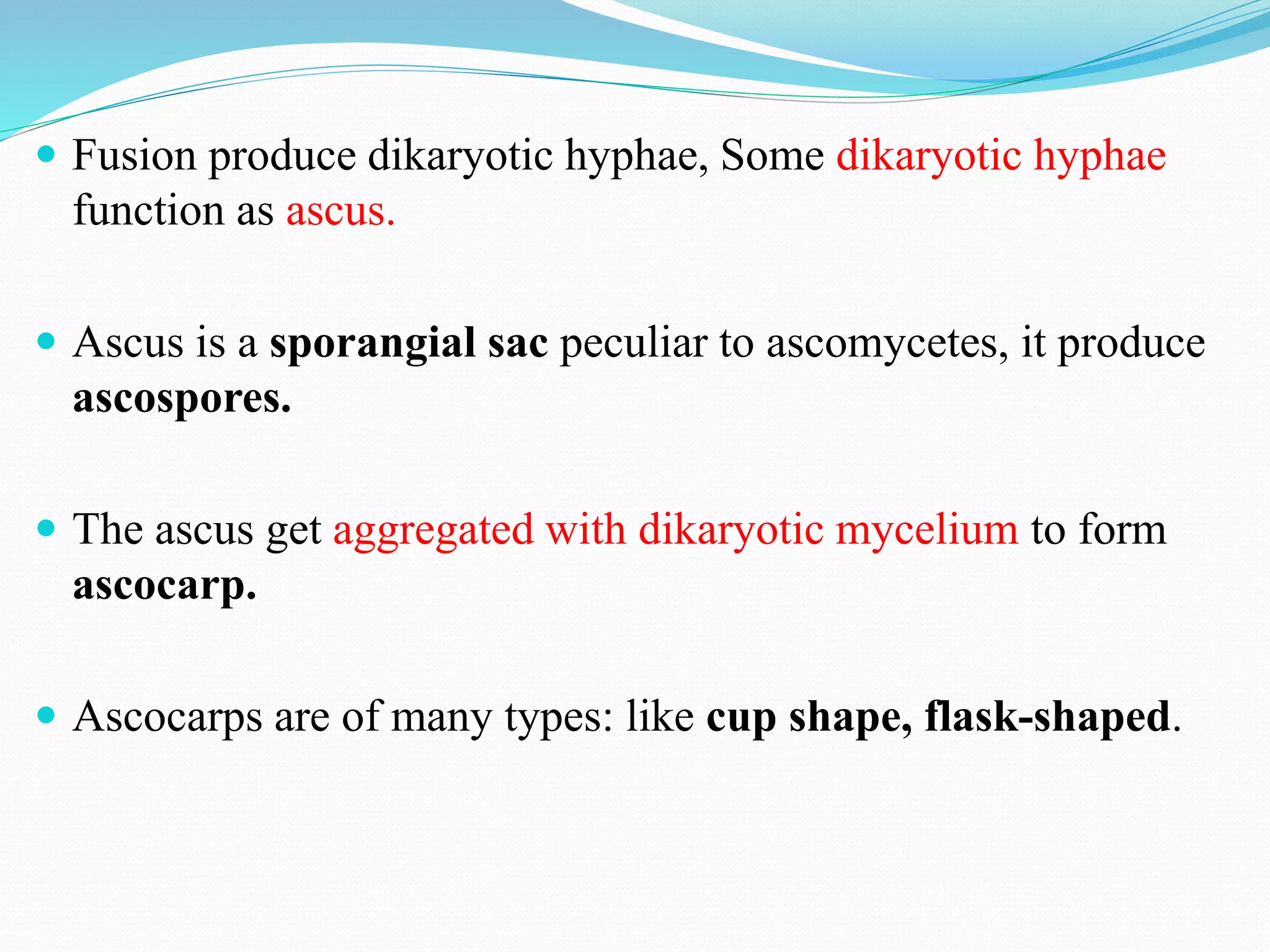 Structural features and classification of fungi | PPTX