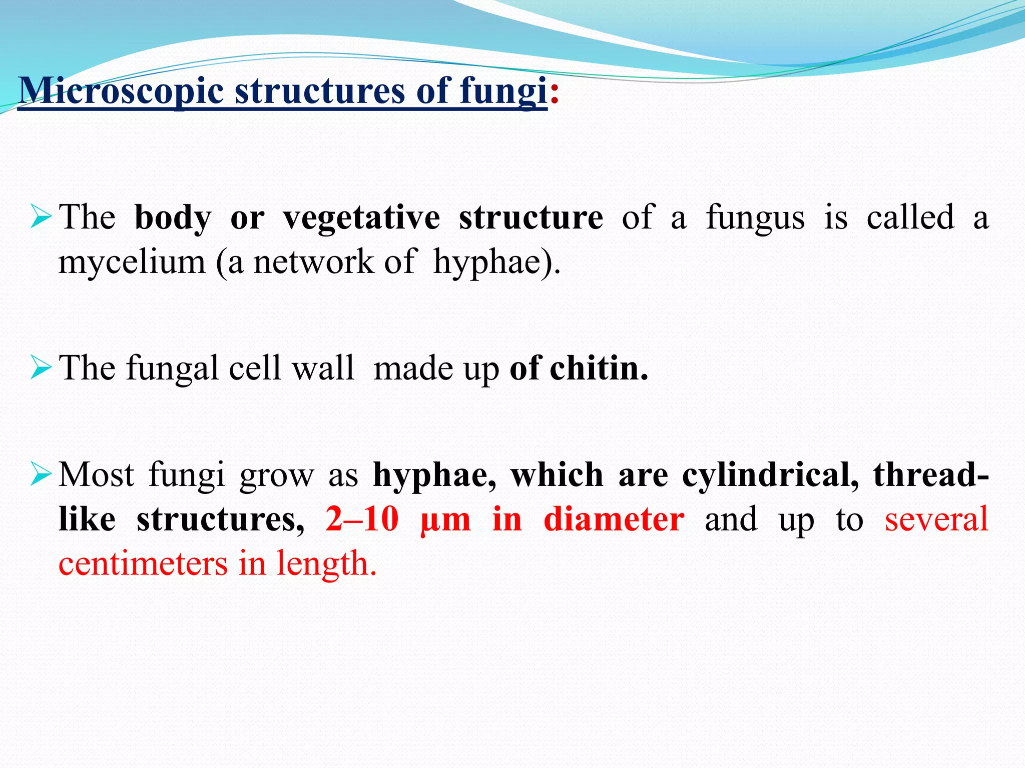 Structural features and classification of fungi | PPTX