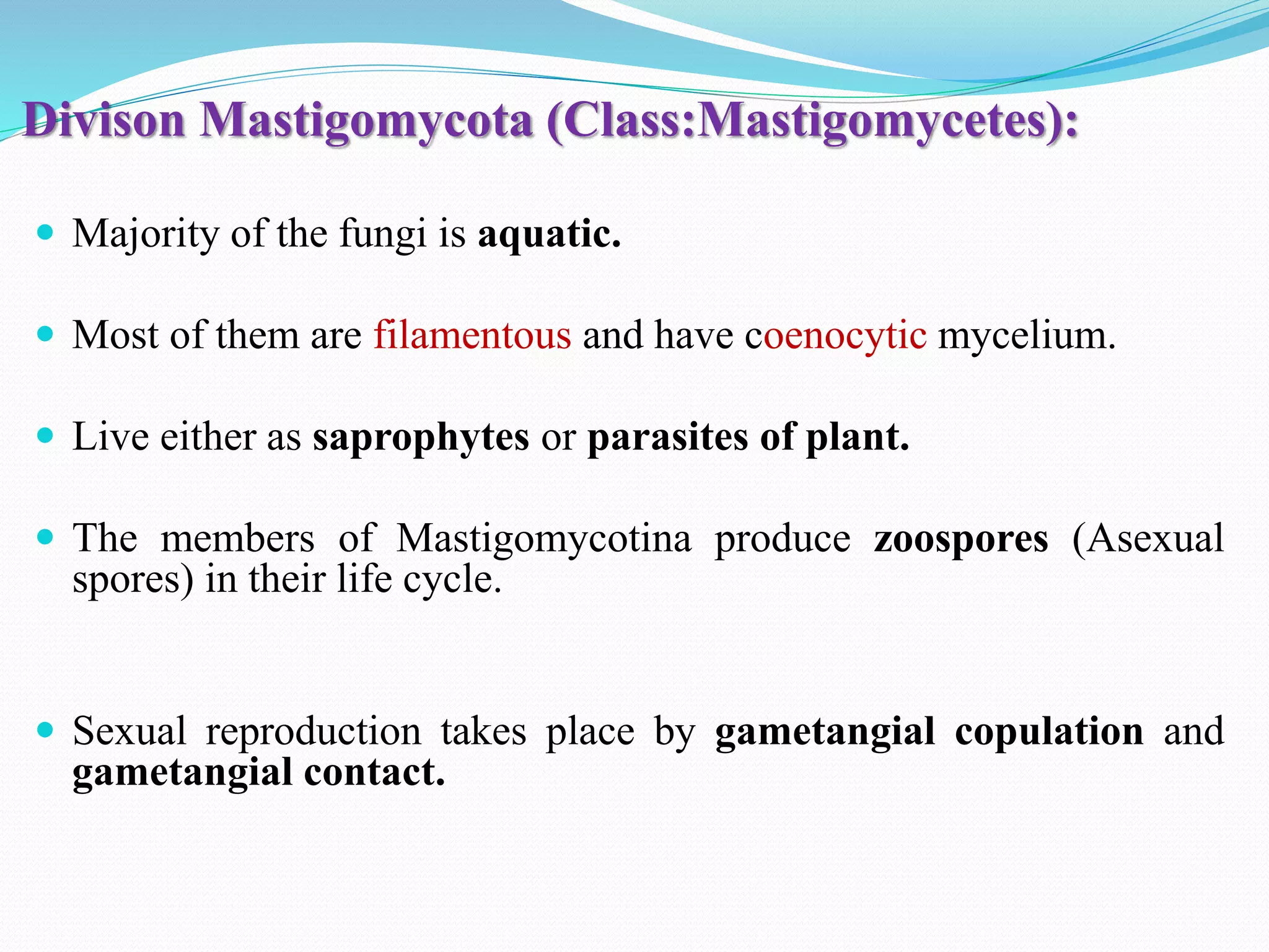 Structural features and classification of fungi | PPTX