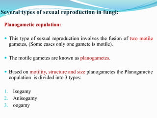 Structural features and classification of fungi | PPTX