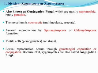 Structural features and classification of fungi | PPTX