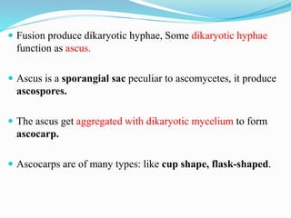Structural features and classification of fungi | PPTX