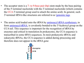 Structural features of rna | PPTX