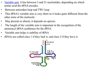 Structural features of rna | PPTX