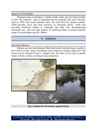 Structural flood control options | PDF