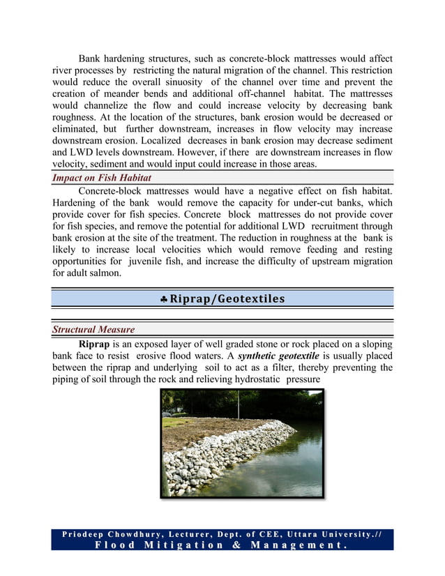 Structural flood control options | PDF