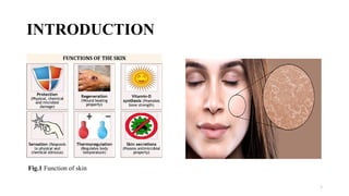 STRUCTURAL FRAMEWORK OF SKIN AND SKIN CANCER.pptx