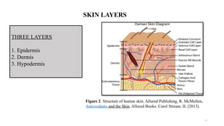 STRUCTURAL FRAMEWORK OF SKIN AND SKIN CANCER.pptx