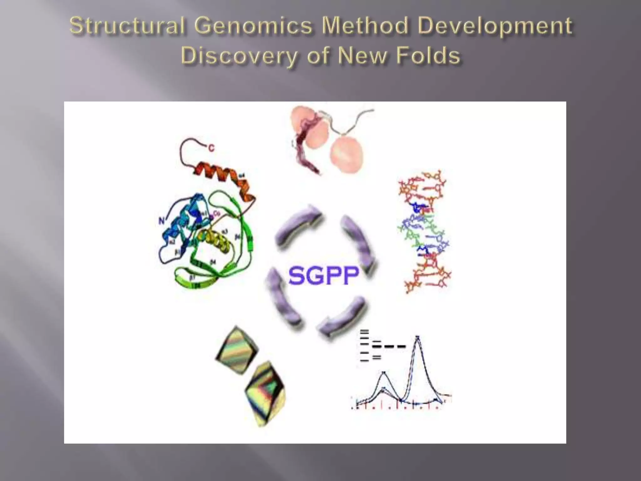 Structural genomics | PPTX