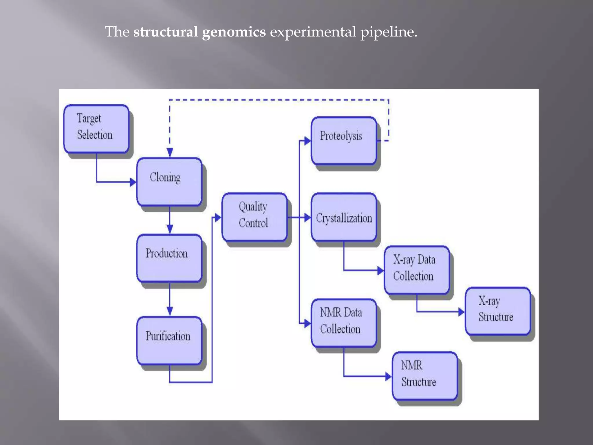 Structural genomics | PPTX