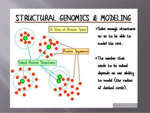 Structural genomics Structural genomics