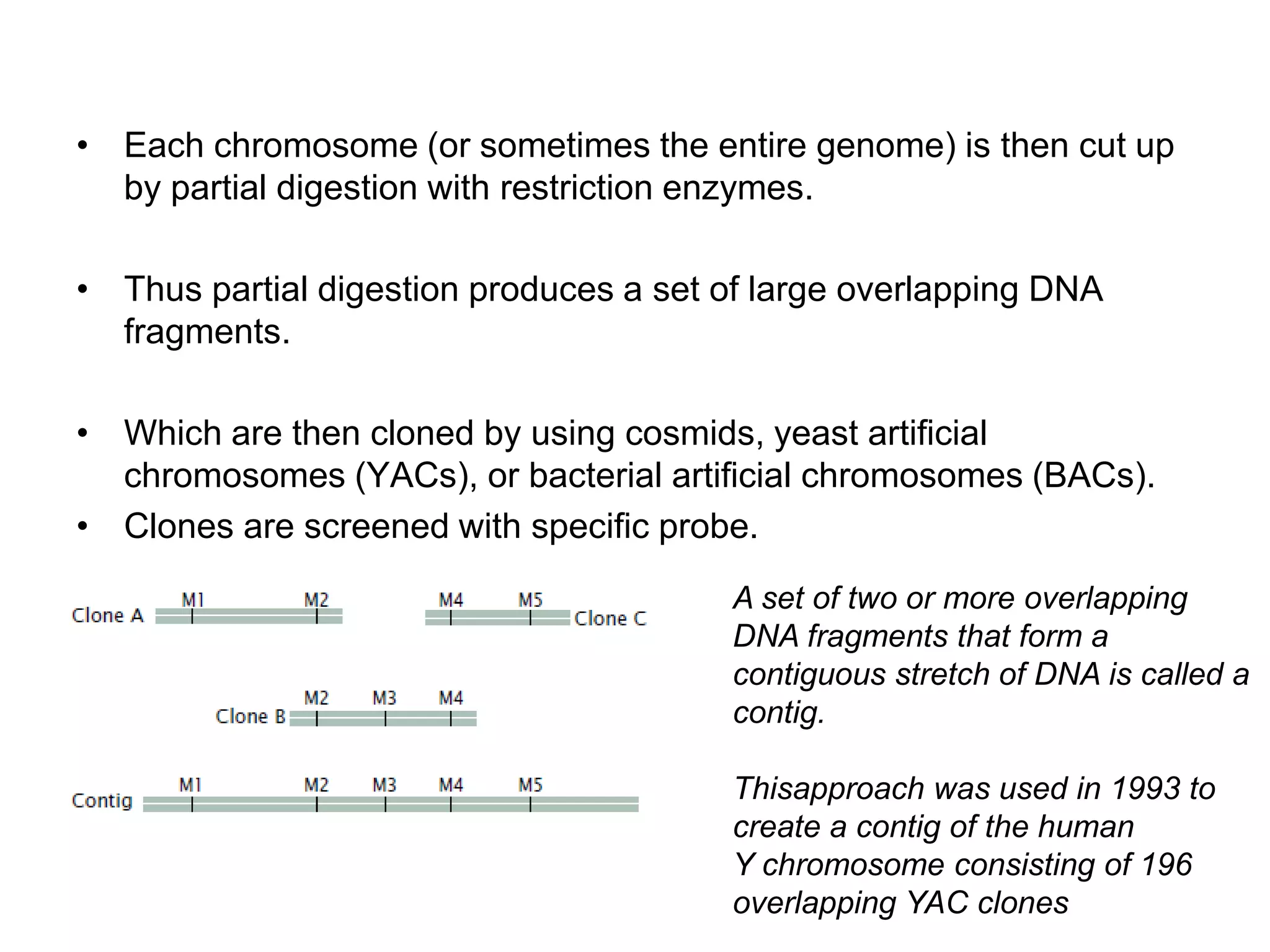 Structural genomics | PDF