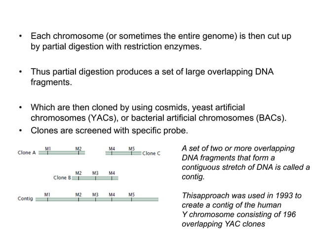 Structural genomics | PDF | Genetics | Science