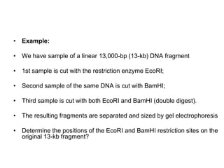 Structural genomics | PDF | Genetics | Science