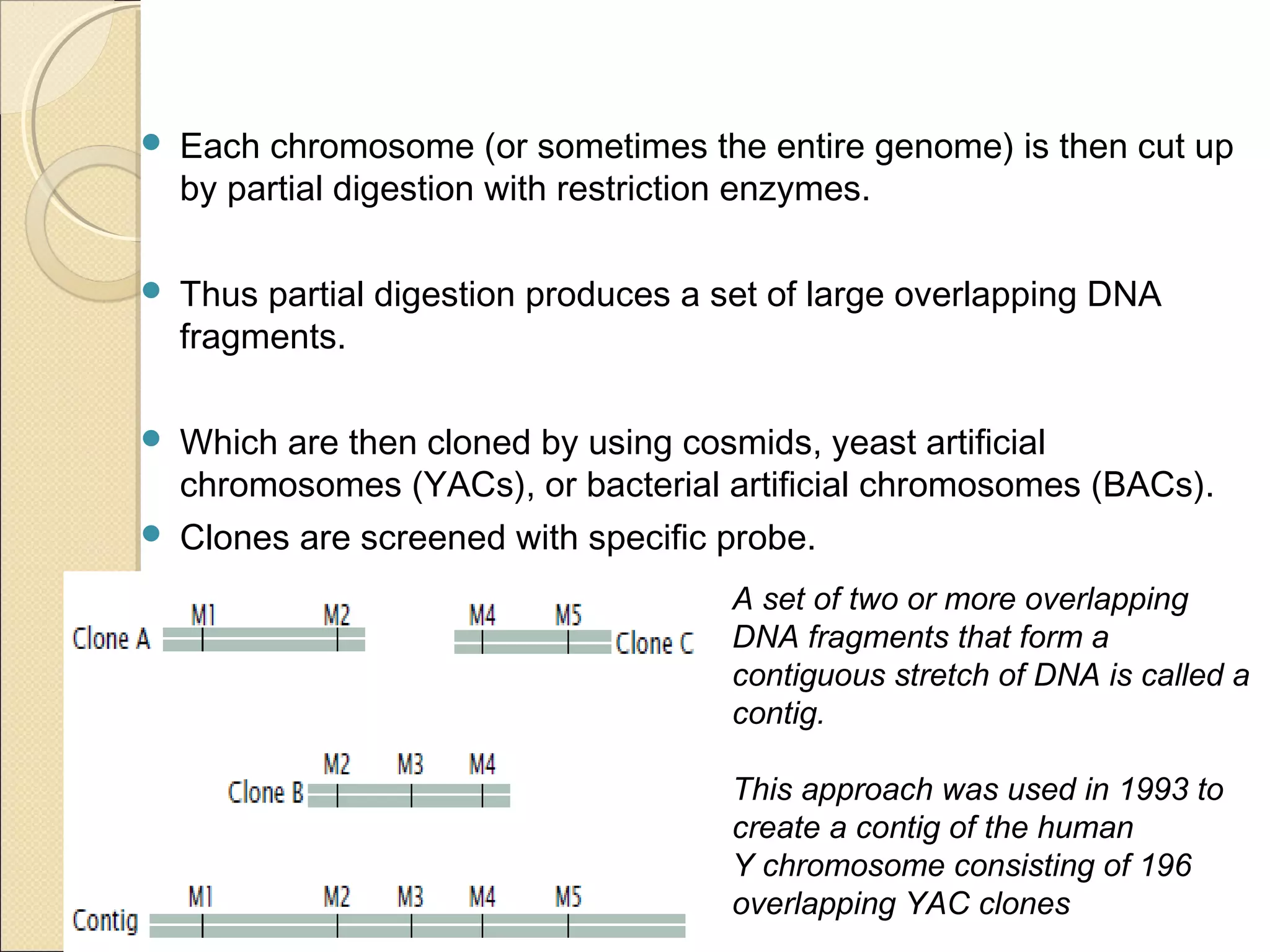 Structural genomics | PPT