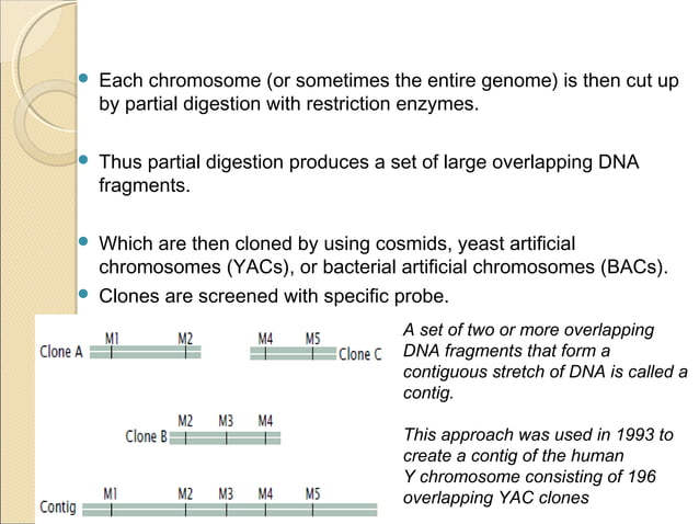 Structural genomics | PPT
