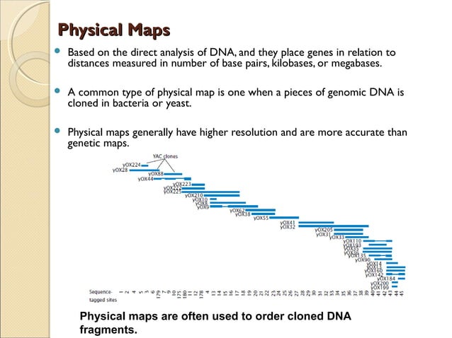 Structural genomics | PPT