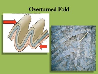 Overturned Fold