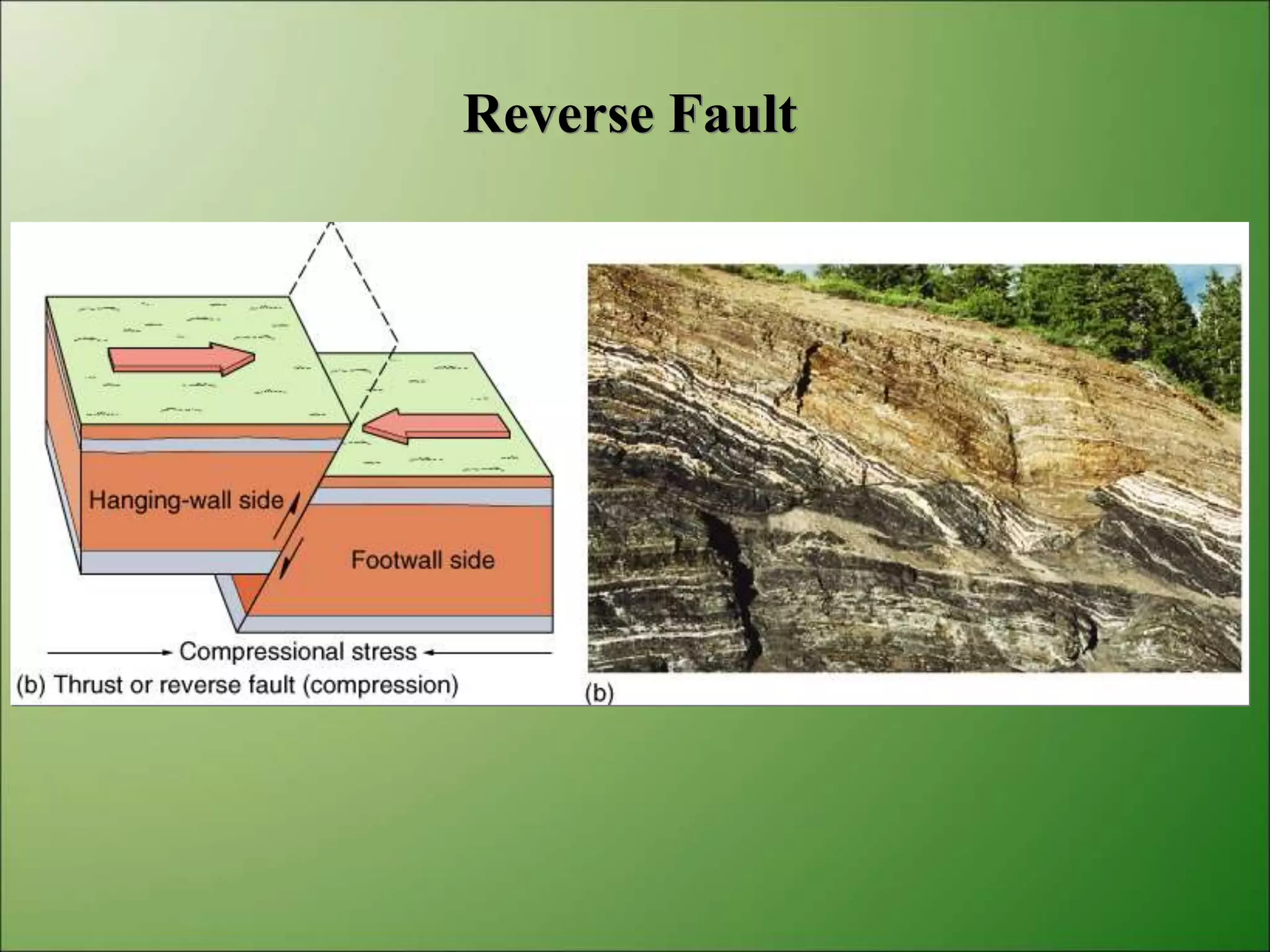 STRUCTURAL_GEOLOGY.ppt