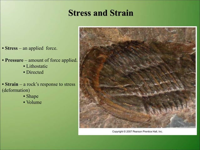 STRUCTURAL_GEOLOGY.ppt