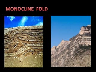 Structural Geology: Fold | PPT