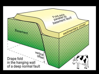 Structural Geology: Fold | PPT