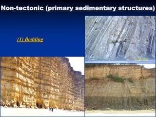 STRUCTURAL GEOLOGY INTRODUCTION DETAILED | PDF