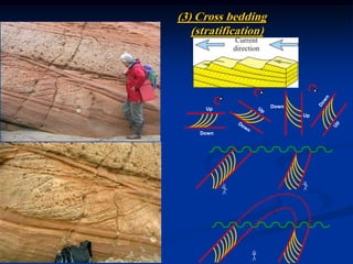 STRUCTURAL GEOLOGY INTRODUCTION DETAILED | PDF