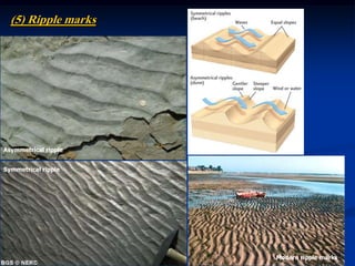 STRUCTURAL GEOLOGY INTRODUCTION DETAILED | PDF