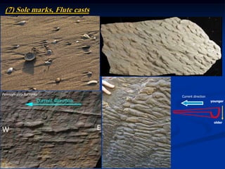 STRUCTURAL GEOLOGY INTRODUCTION DETAILED | PDF