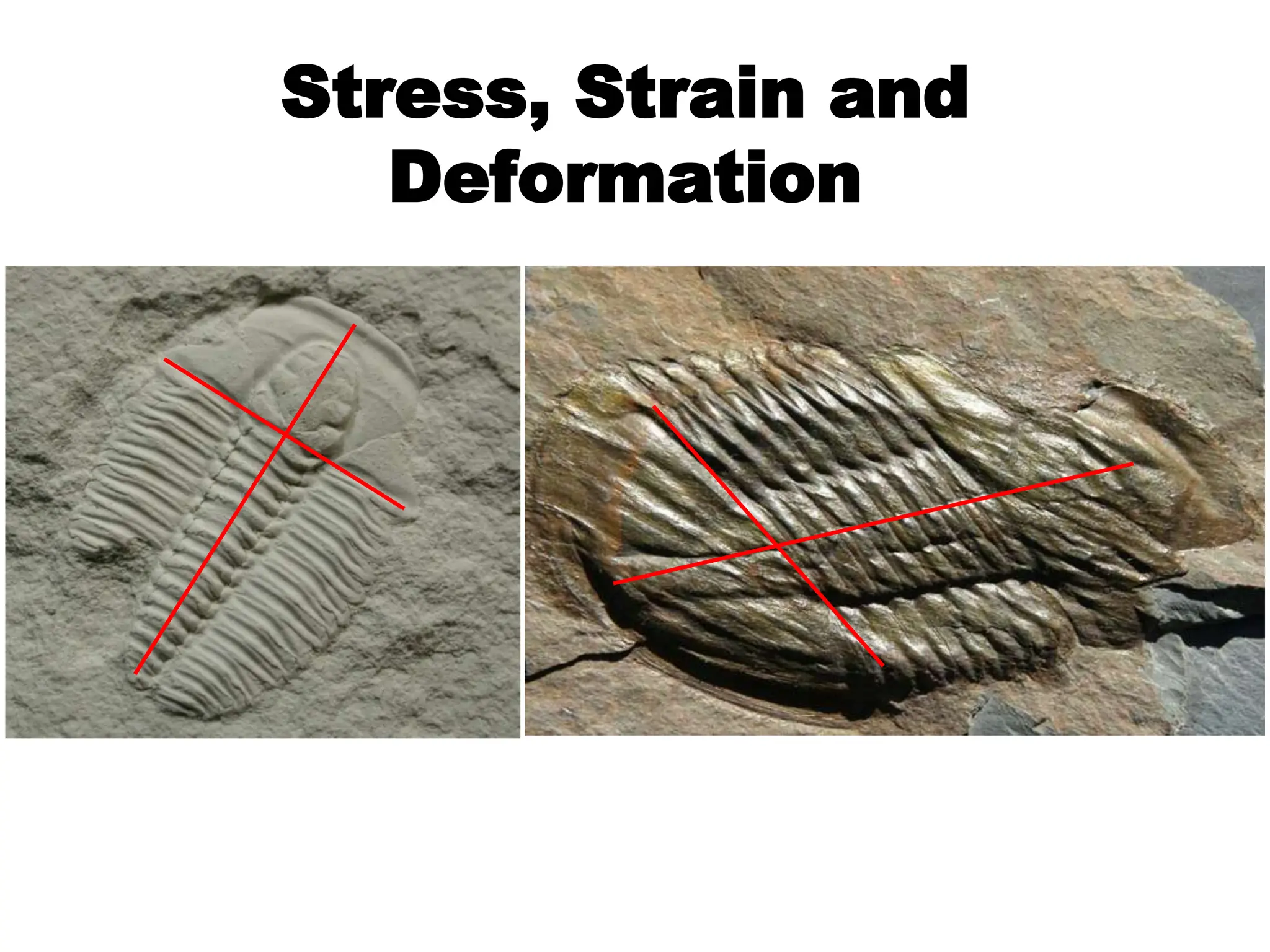 STRUCTURAL GEOLOGY STRESS STRAIN ADN DEFORMATION | PDF