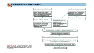 STRUCTURAL HEART DISEASES IN THE HEART.pptx
