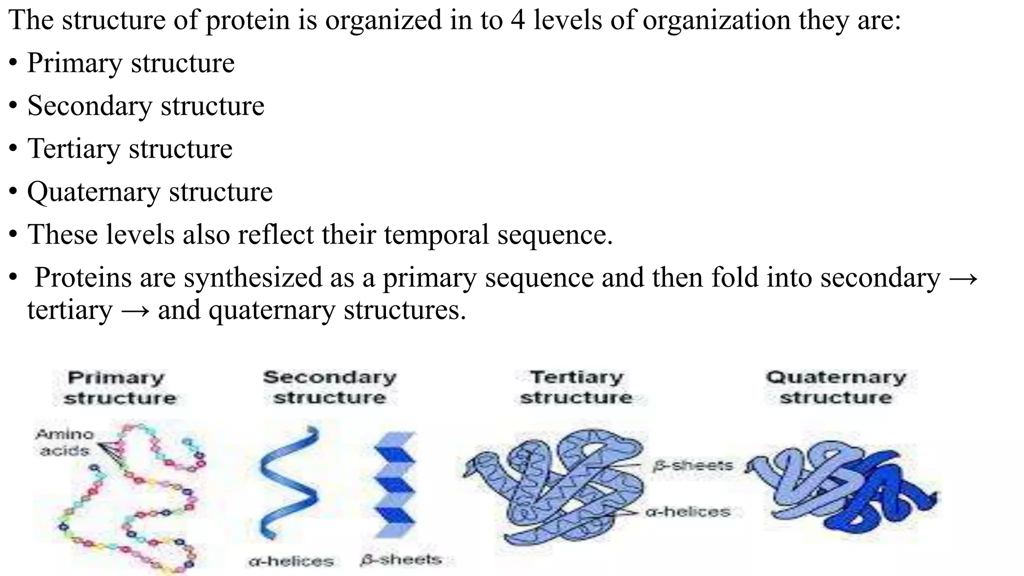 Structural level of organization of proteins | PPTX