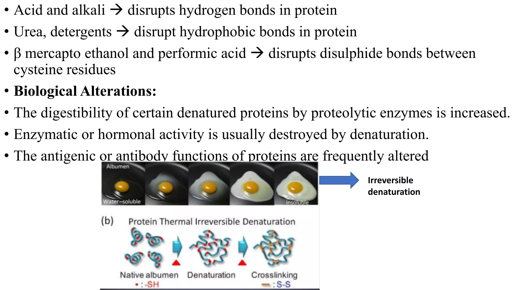 Structural level of organization of proteins | PPTX