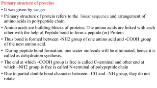 Structural level of organization of proteins | PPTX