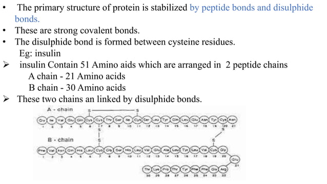 Structural level of organization of proteins | PPTX